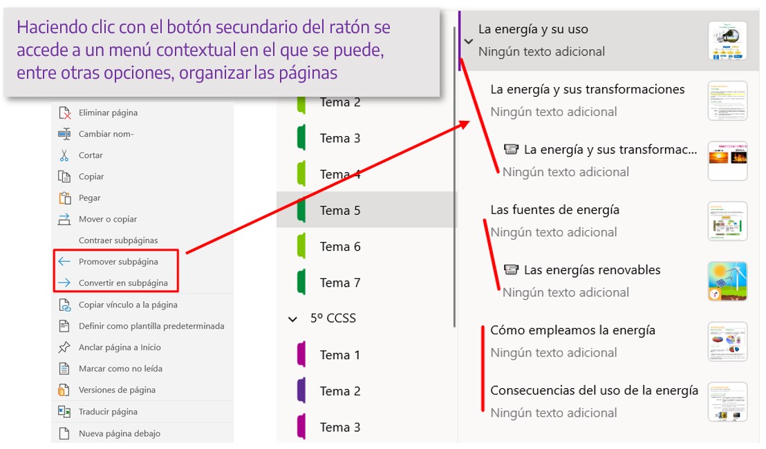 3. Organizar el contenido en OneNote | A2.3.4. OneNote gestión básica ...